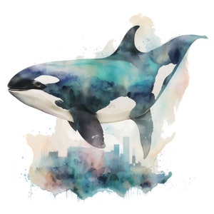 Orca Watercolor, Digital Downloads, Orca Clipart, Orca PNG, Orca Wall ...