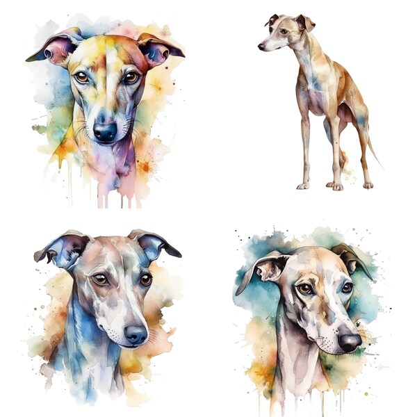 Whippet Dog Art - Etsy