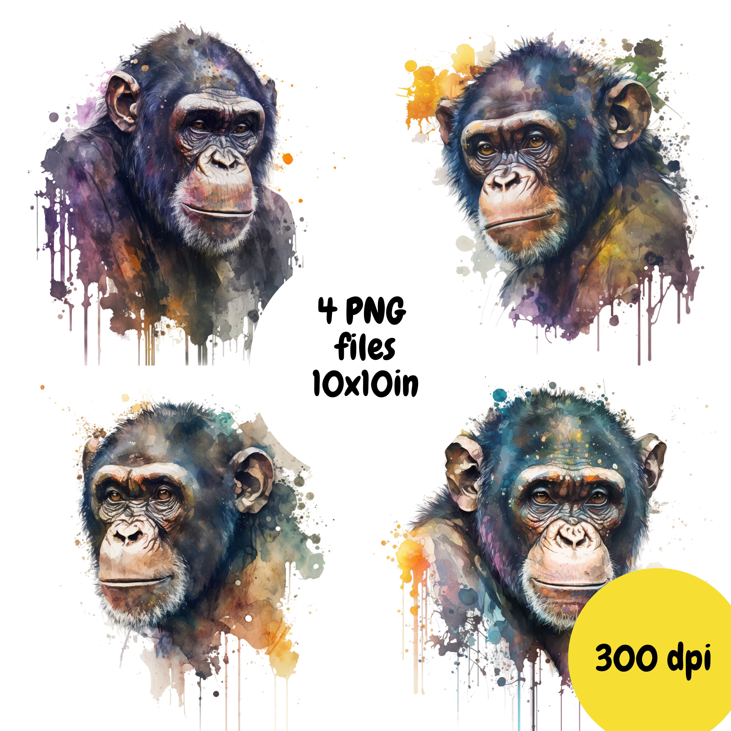 Watercolor Chimpanzee Clipart Chimpanzee Decor Wall Art - Etsy