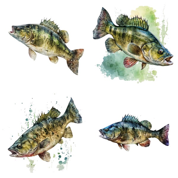 Bass Watercolor - Etsy