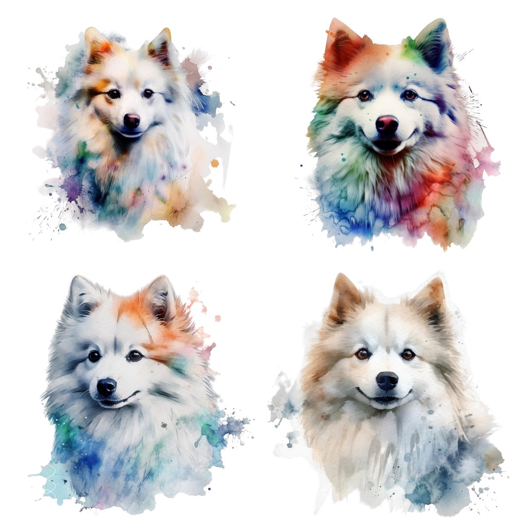 American Eskimo Dog Art Print, American Eskimo Dog Clipart aquarelle ...