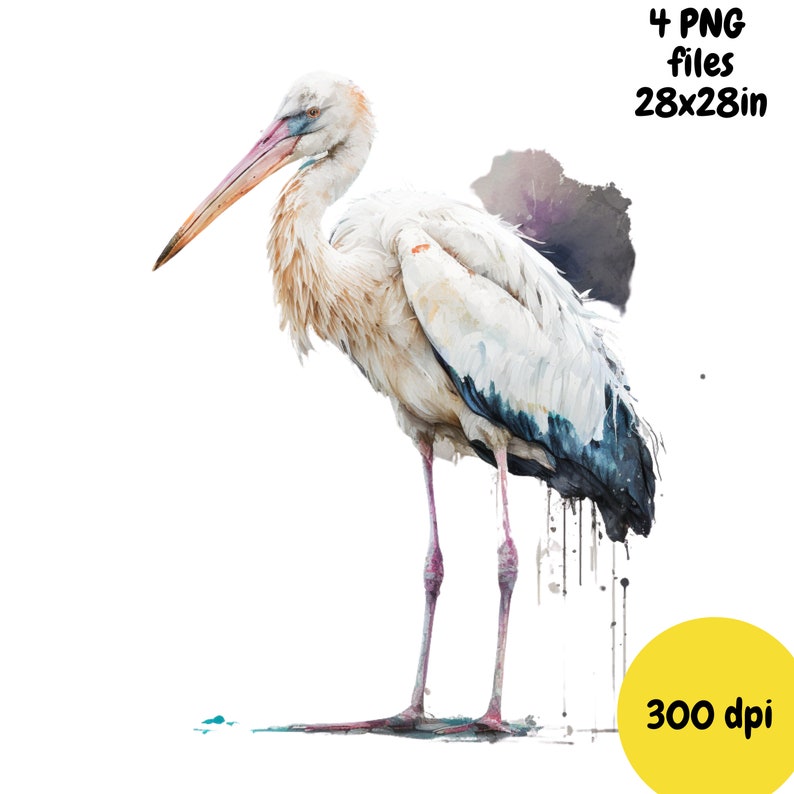 Stork Watercolor Clipart Stork Watercolor Stork Clipart PNG - Etsy