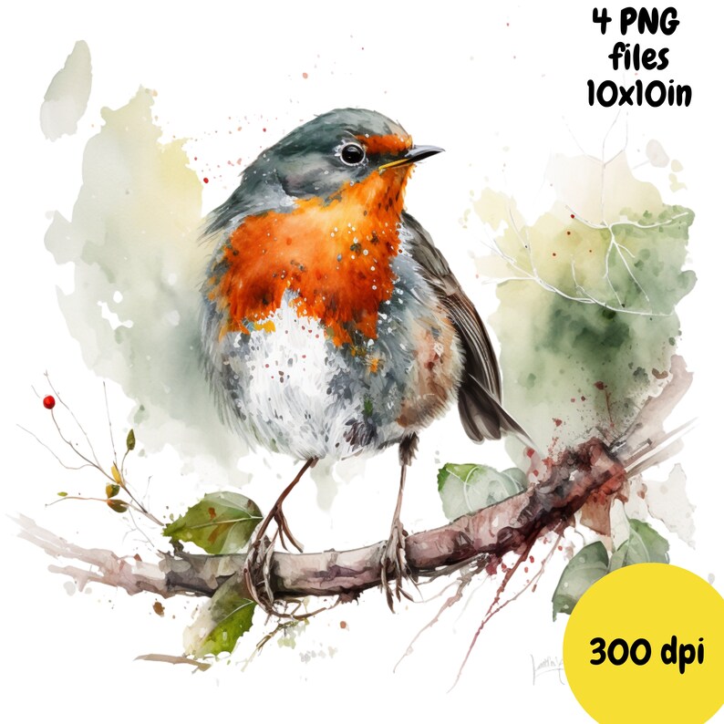Robin Watercolor Clipart Robin Watercolor Robin Clipart PNG - Etsy