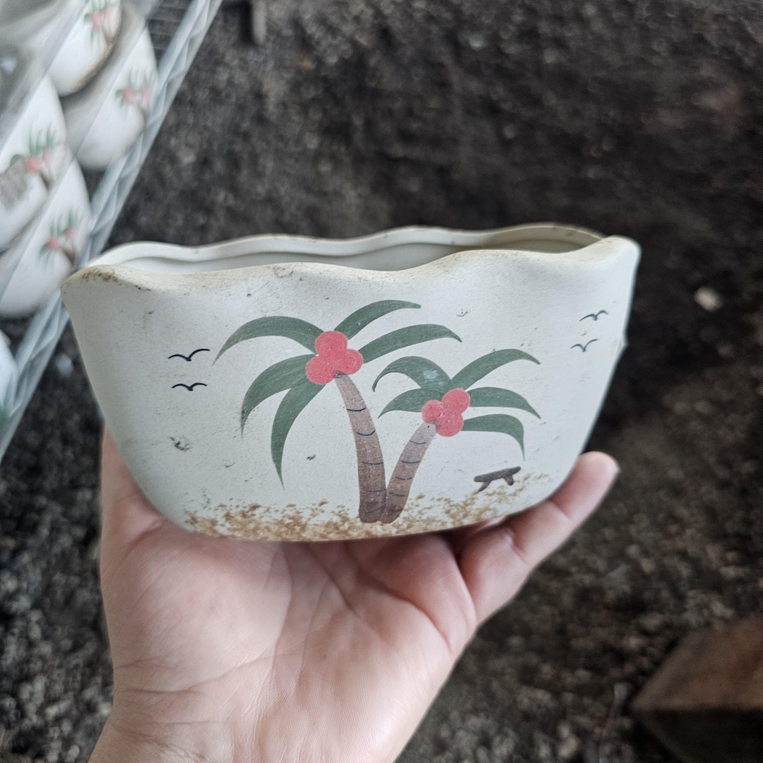 Palm Tree Ceramic Succulent Planter Pot With Drainage - Etsy