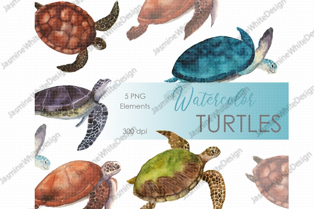 Watercolor Sea Turtles Clipart Ocean 5 Png Files Sea Turtle - Etsy