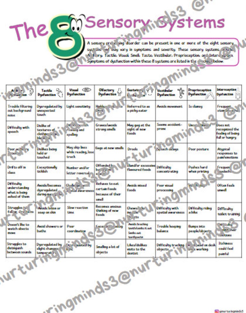 8 Sensory Systems - Etsy