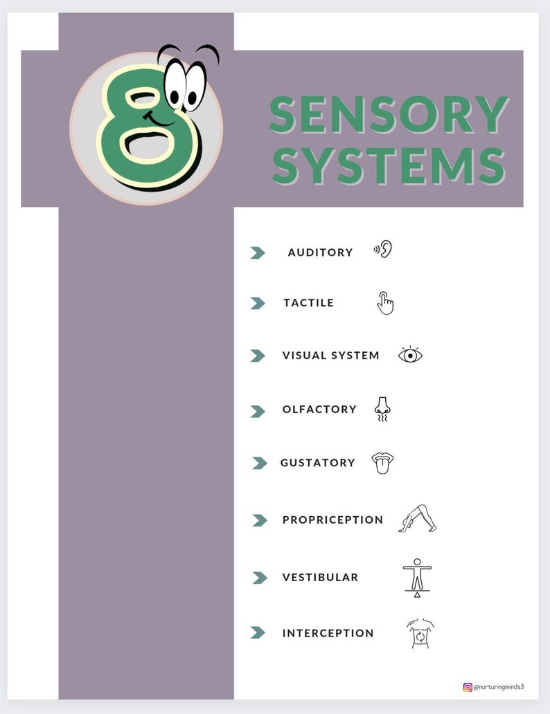8 Sensory Systems - Etsy