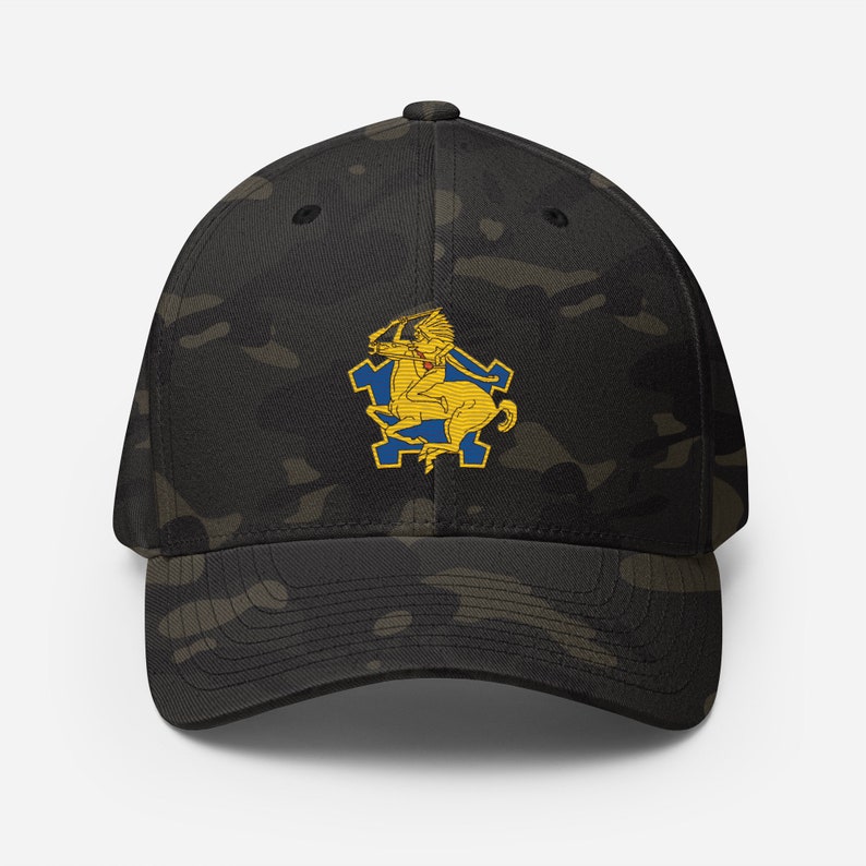 9th Cavalry Regiment (1st Cav) -- Buffalo Soldiers-- Commemorative Hat ...