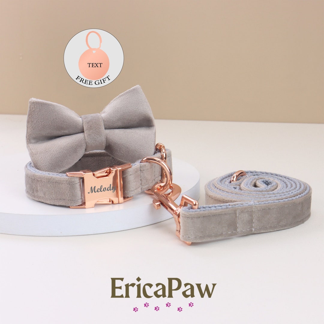 Personalised Grey Cat Collar, Custom Kitten Collar With Bell, Collar ...