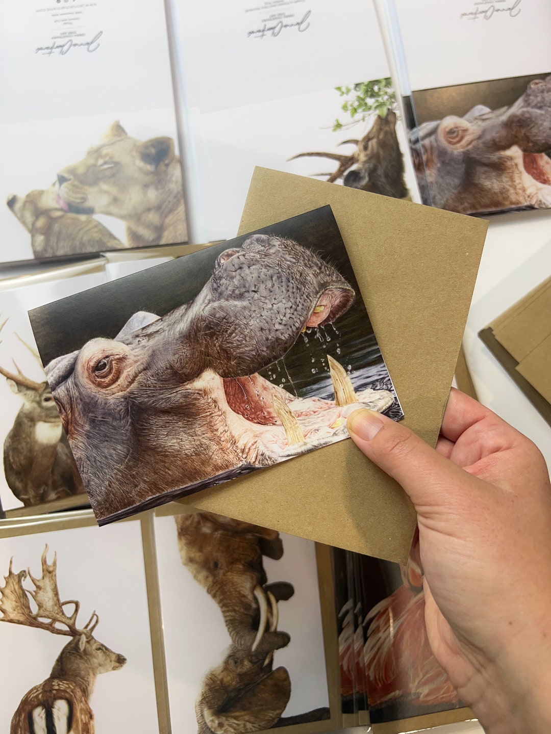 Hippopotamus Greeting Card - "monday Morning" Coloured Pencil Artwork ...