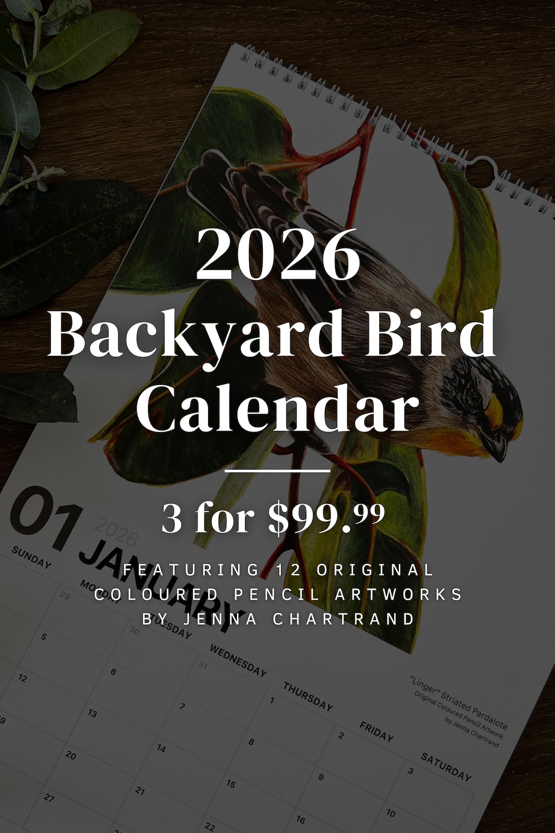 2026 Backyard Bird Calendar - 3 for 99 - Etsy