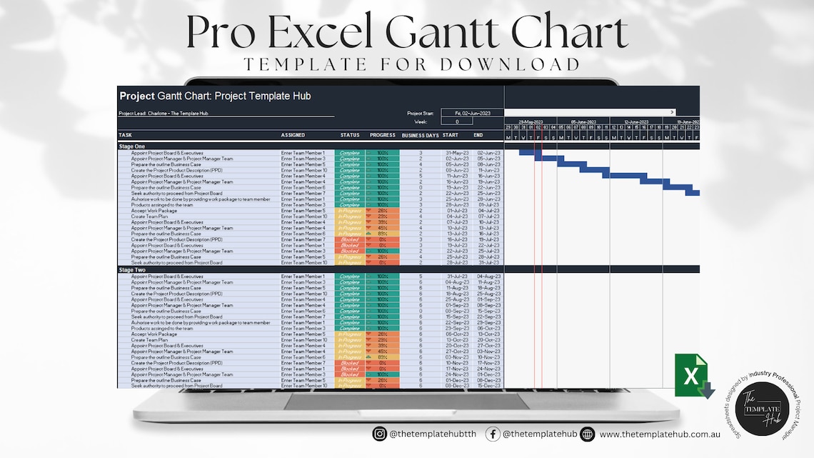 Professional Excel Gantt Chart | Automated Project Timeline | Microsoft ...