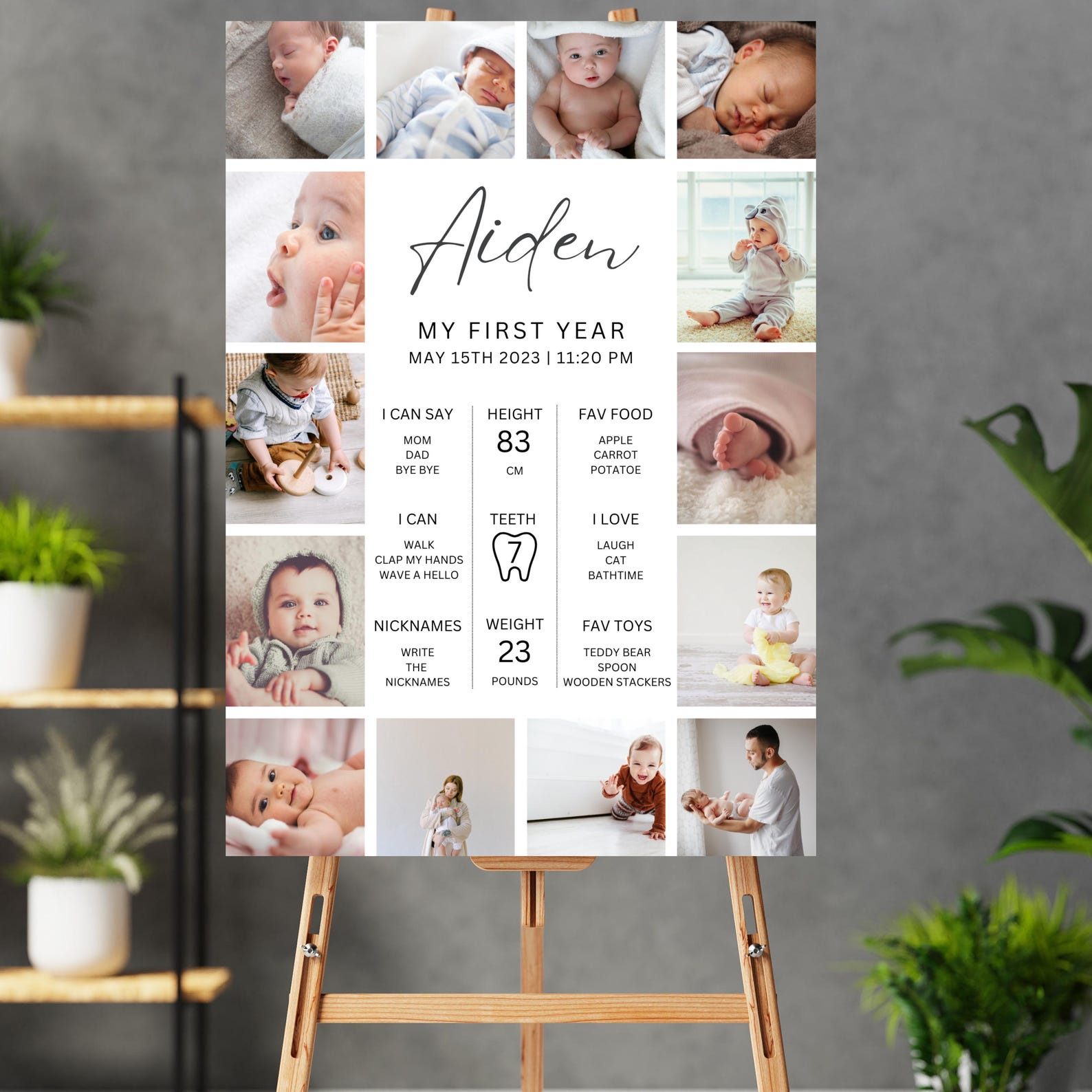 First Birthday Milestone Sign, 1st Birthday Milestone Poster, 1st ...