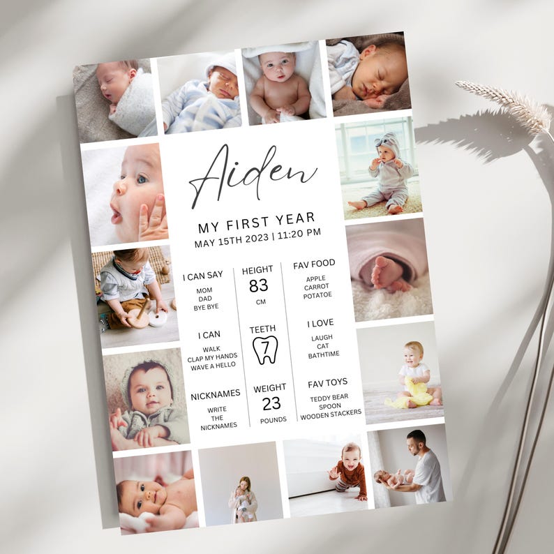 First Birthday Milestone Sign, 1st Birthday Milestone Poster, 1st ...