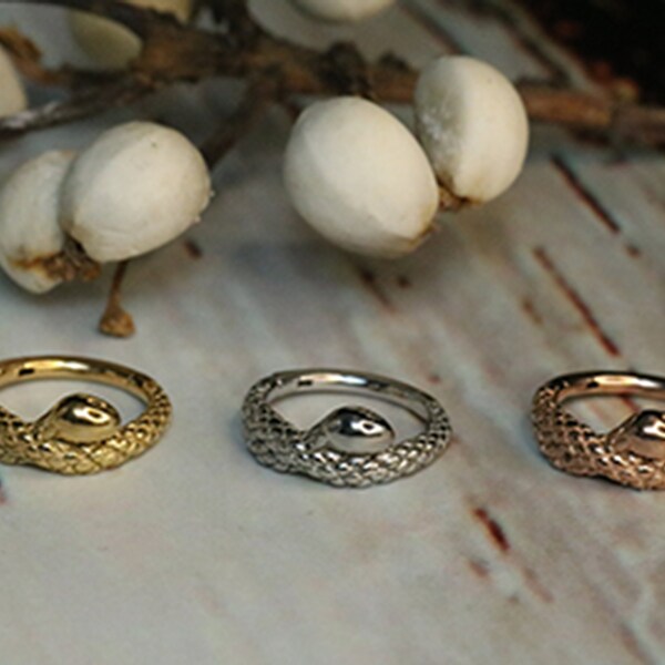 Snake Nose Ring - Etsy