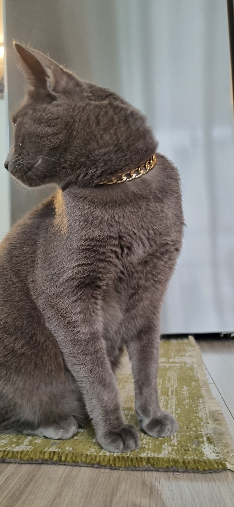 Collar Gold Cat Collar Silver Cat and Dog Collar - Etsy
