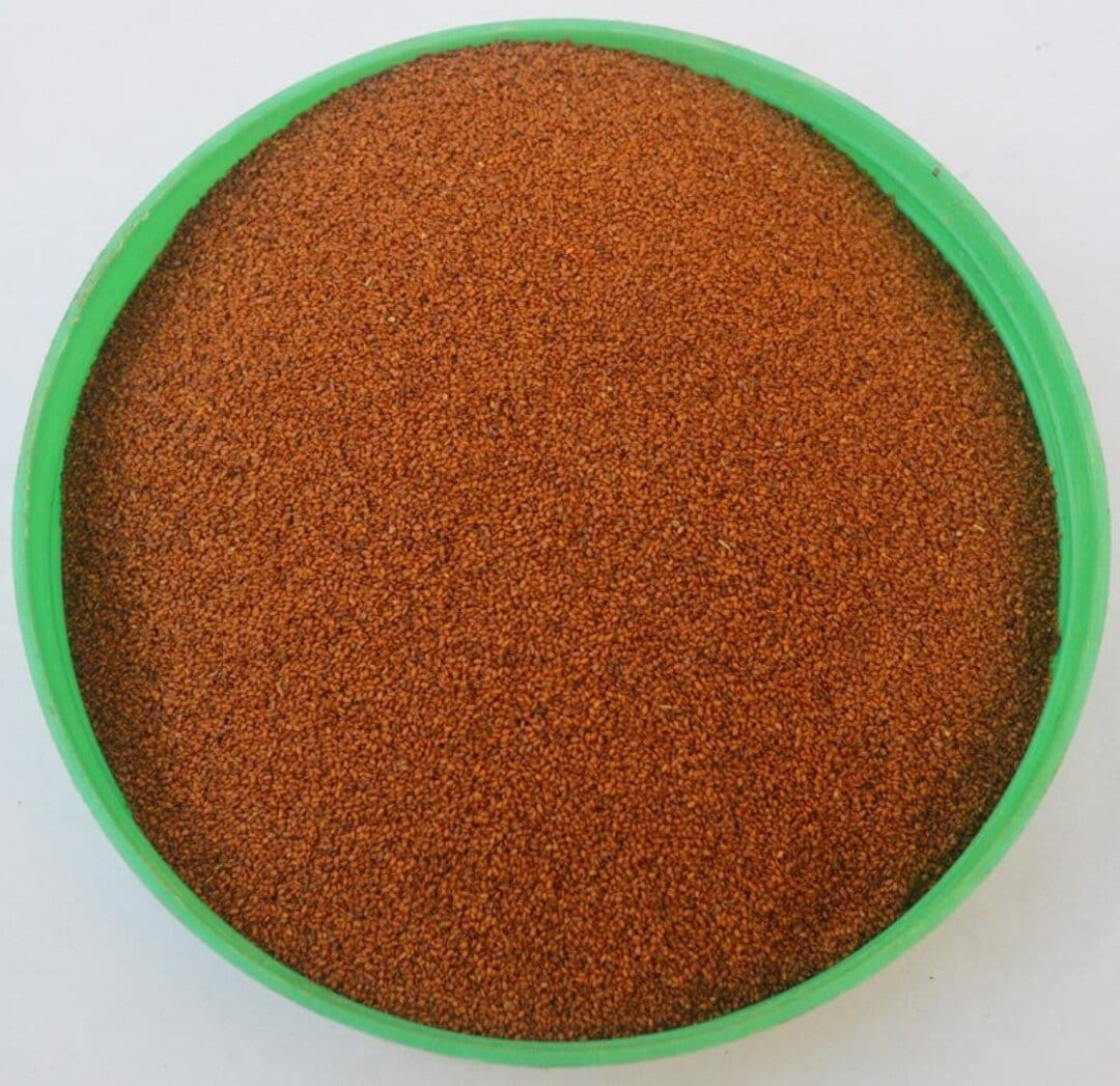 Khubkala Lal Hedge Seed Khub Kala Seed Mustard Lal Sisymbrium Lrio Linn ...