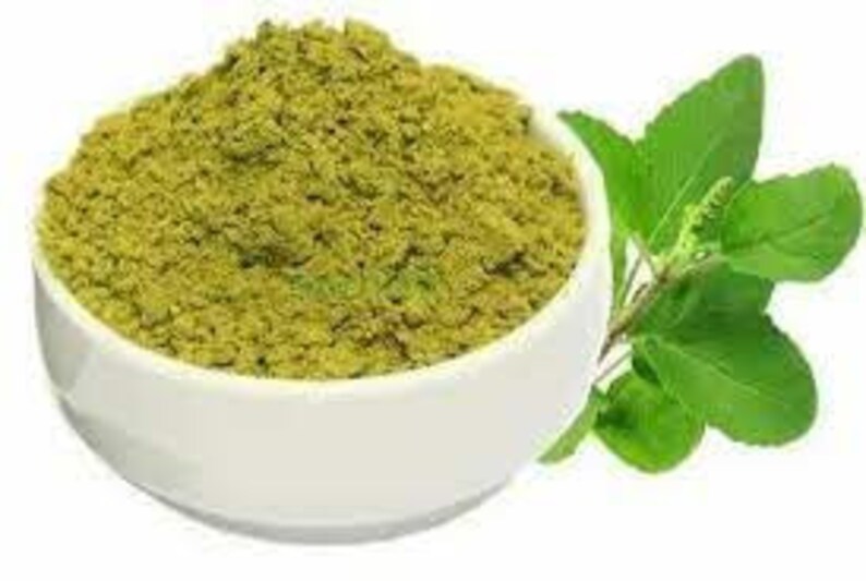 Tulsi Leaf Powder Ocimum Tenuiflorum Lamiaceae - Etsy