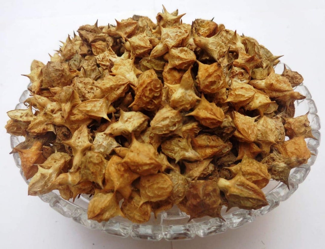 Gokhru / Caltrops Seeds / Pedalium Murex / Gokshura - Etsy