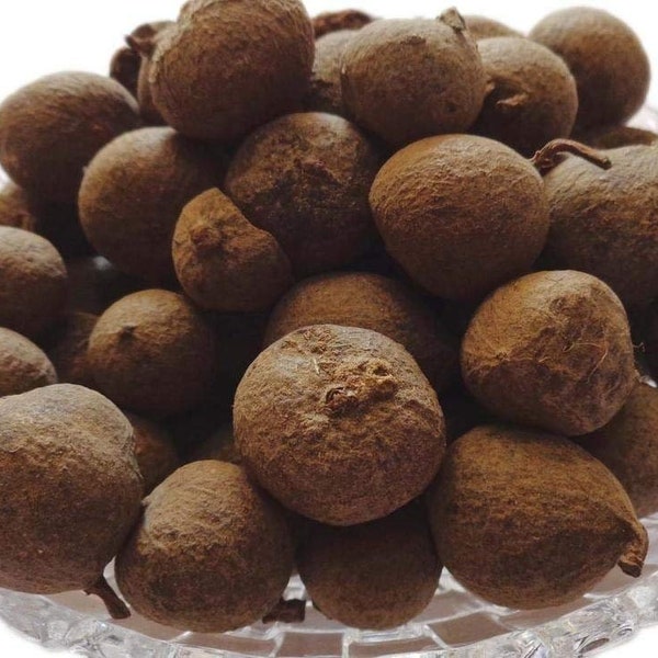 Gular Tree Fruit - Etsy