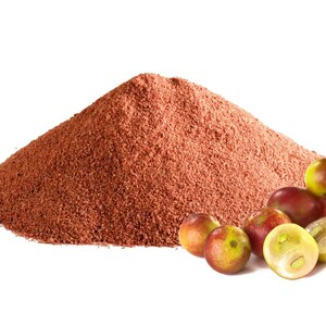 Organic CAMU CAMU Powder - Etsy