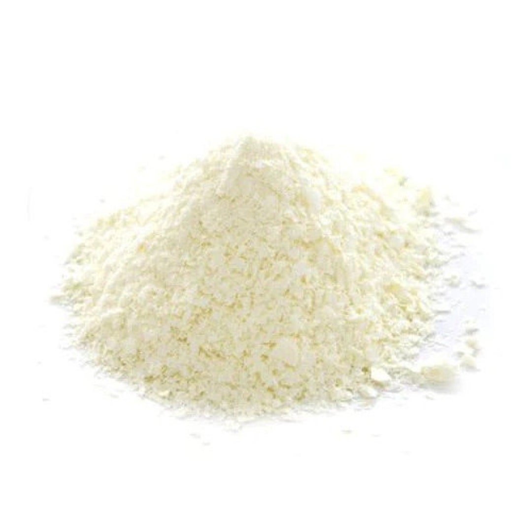 Organic Yogurt Powder - Etsy