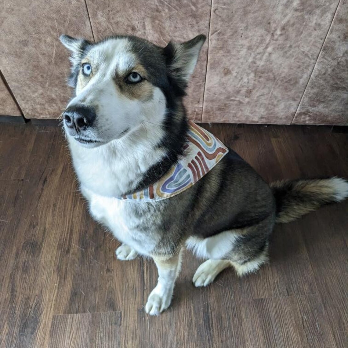 Pastel Rainbow Pup Bandana Dog Bandana Basic Dog Bandana Secure Bandana ...