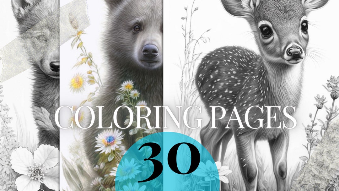 Fantasy Baby Forest Animals Printable PDF | Set 1 | 30 Grayscale ...