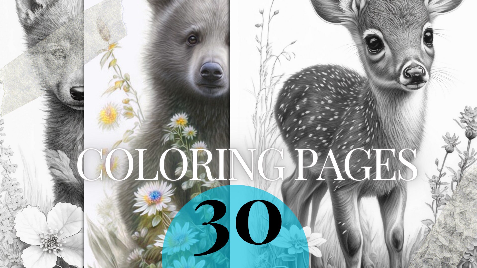 Fantasy Baby Forest Animals Printable PDF Set 1 30 - Etsy