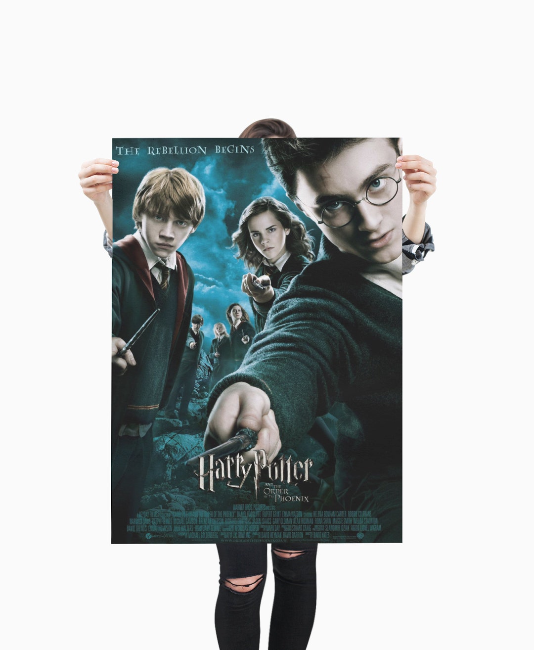 Harry Potter and the Order of the Phoenix Poster / Premium Matte ...
