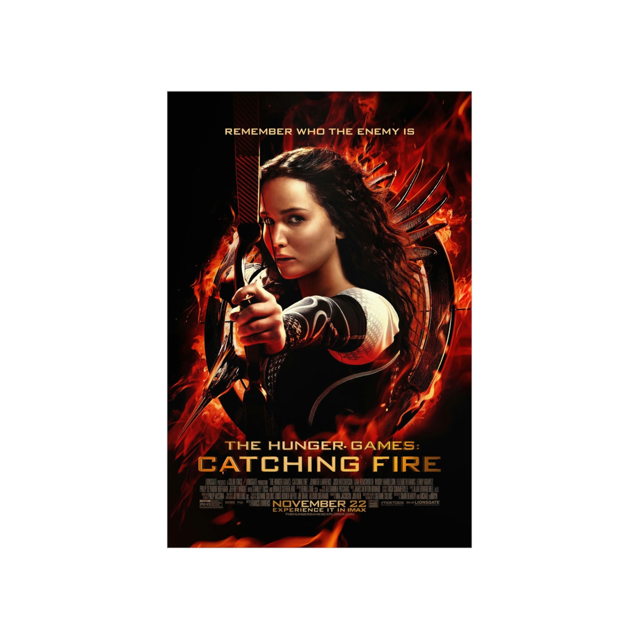 The Hunger Games Catching Fire Poster / Premium Matte Vertical Poster ...