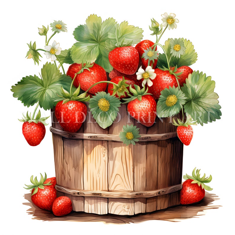 Strawberry Plants Clipart Bundle 10 High Quality Jpgs - Etsy
