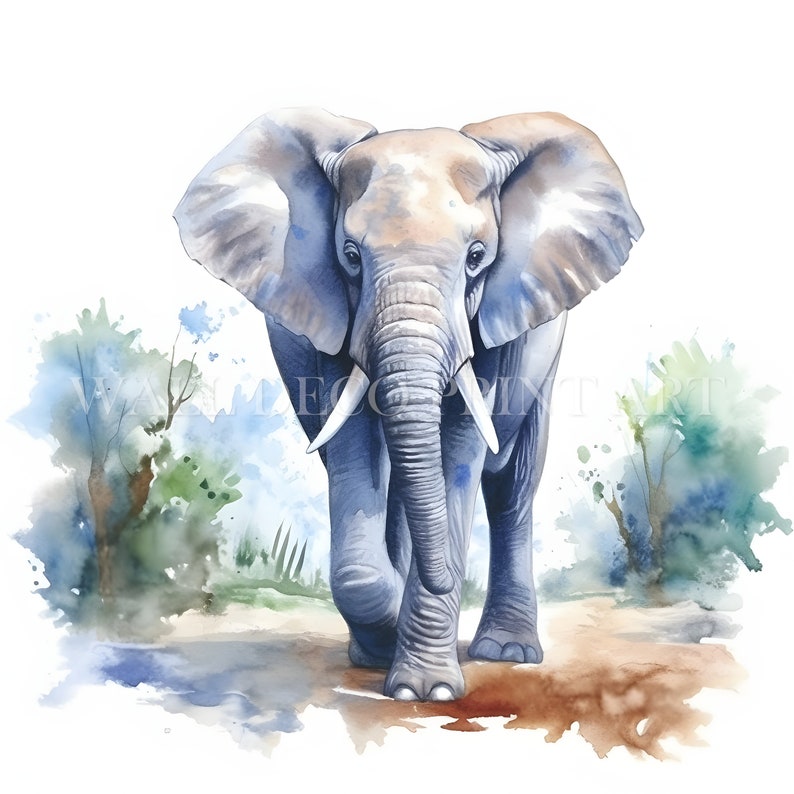 Beautiful Elephant Clipart Bundle - 10 High Quality Jpgs - Digital ...