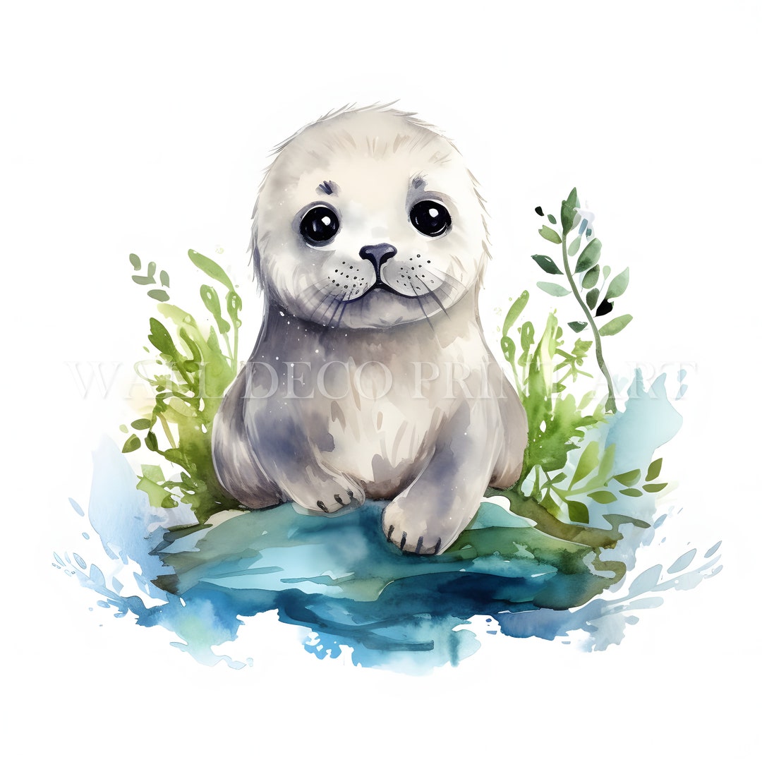 Cute Baby Seal Clipart Bundle - 12 High Quality Jpgs - Digital ...