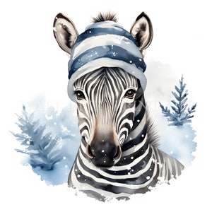Christmas Zebra Clipart Bundle - 10 High Quality JPG - Digital ...