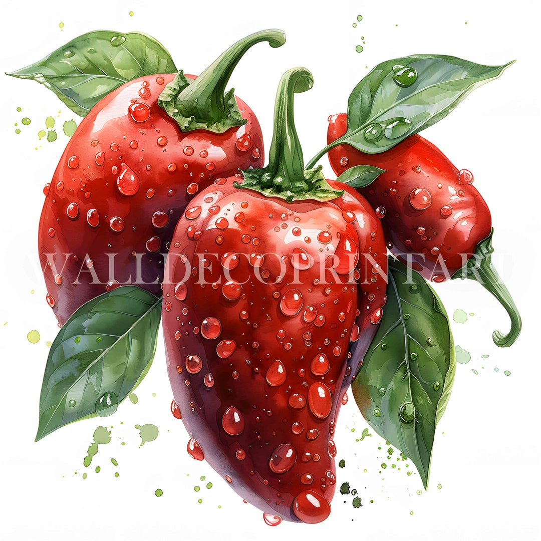 10 Spicy Chilli Pepper Clipart Bundle - High Quality Jpgs - Digital ...