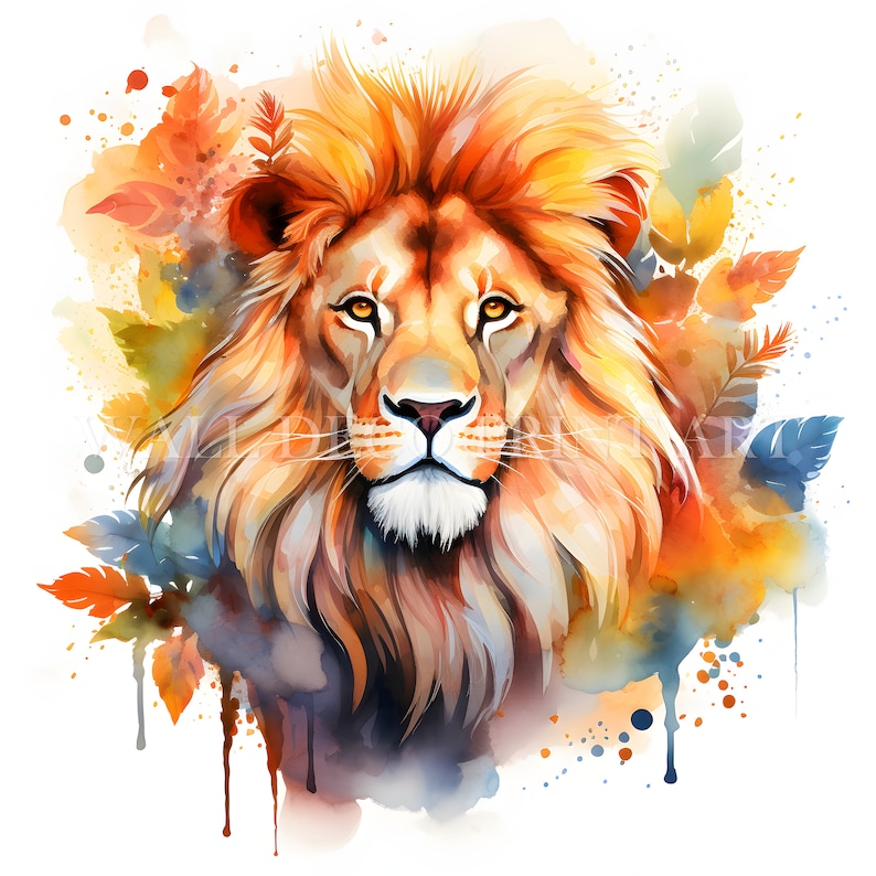 Beautiful Lion Clipart Bundle 12 High Quality Jpgs Digital - Etsy