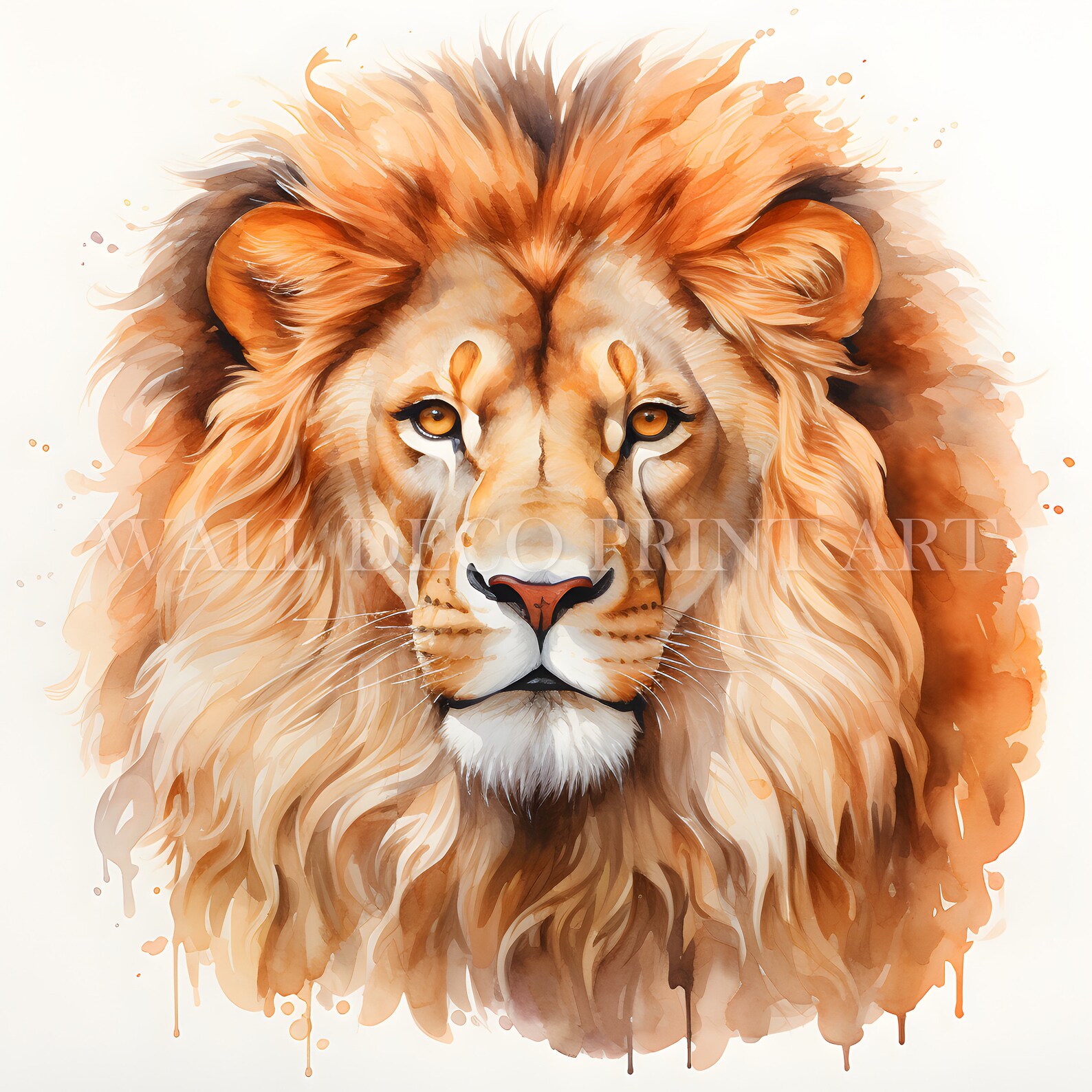 Beautiful Lion Clipart Bundle 12 High Quality Jpgs Digital - Etsy