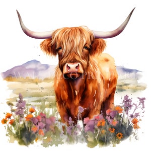 Cute Highland COW Clipart Bundle - 12 High Quality Jpgs - Digital ...
