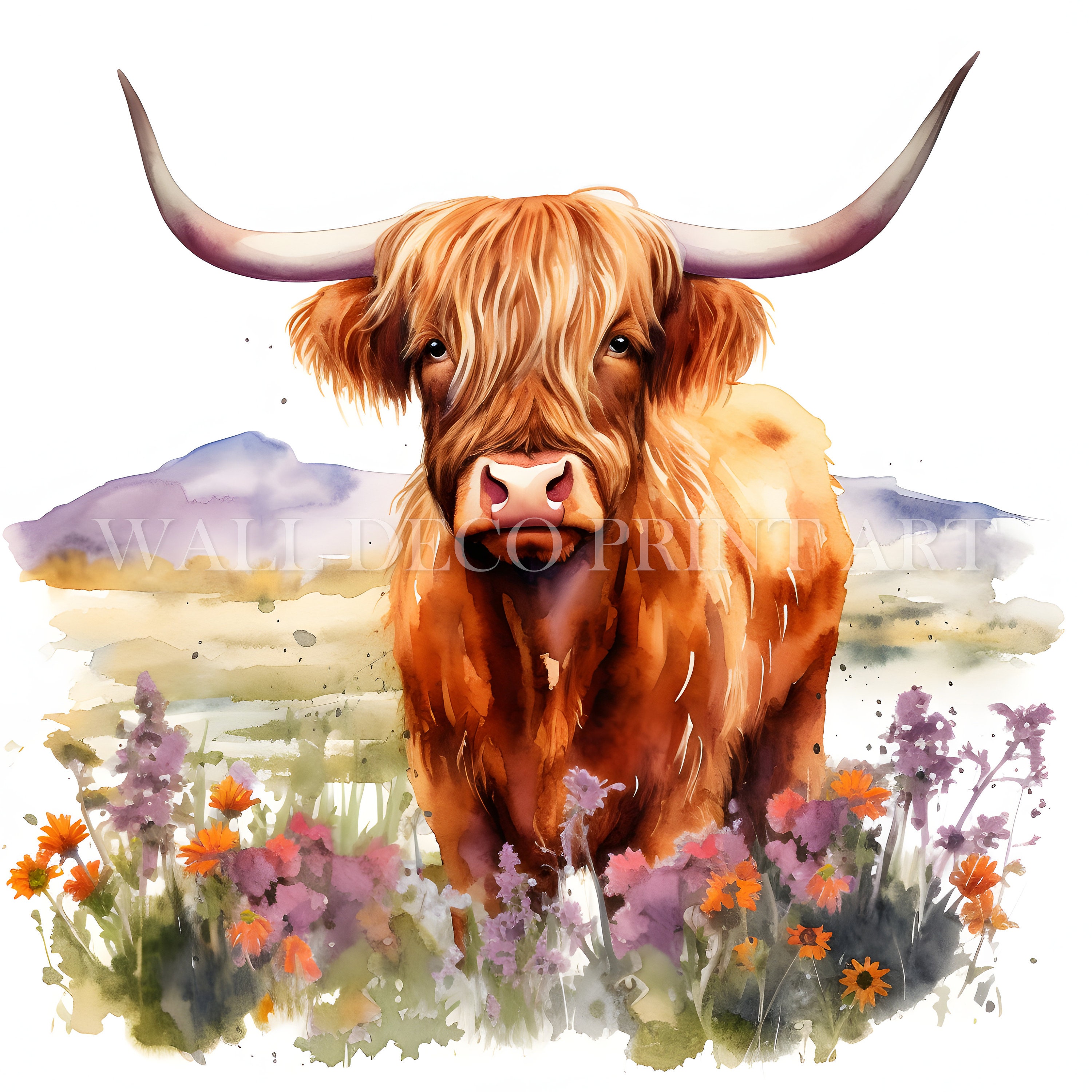 Cute Highland COW Clipart Bundle 12 High Quality Jpgs - Etsy