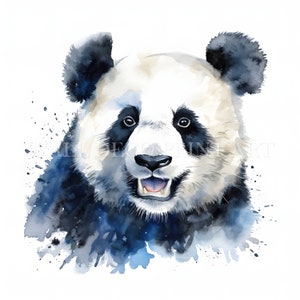 Beautiful Panda Clipart Bundle - 13 High Quality JPG - Digital ...