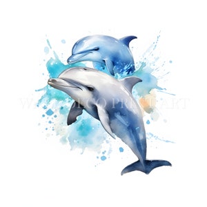 Beautiful Dolphin Clipart Bundle - 10 High Quality Jpgs - Digital ...