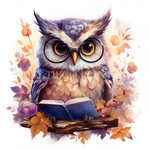 Cute Owl Reading Book Clipart Bundle - 14 High Quality Jpgs - Digital ...