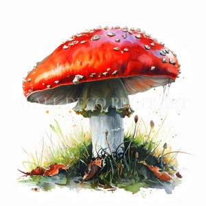 Cute Red Toadstool Clipart Bundle - 10 High Quality Jpgs - Digital ...