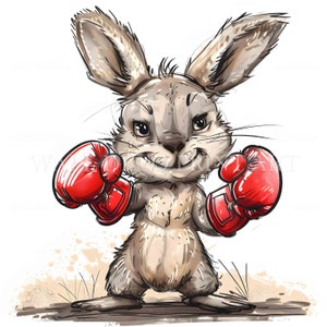 Boxing Kangaroo Clipart Bundle - 10 High Quality Jpgs - Digital ...