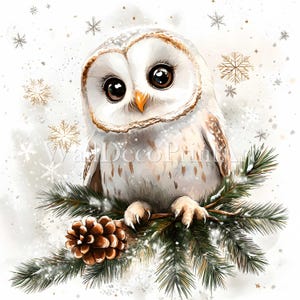 10 Cute Christmas Owl Clipart Bundle - High Quality JPG - Digital ...