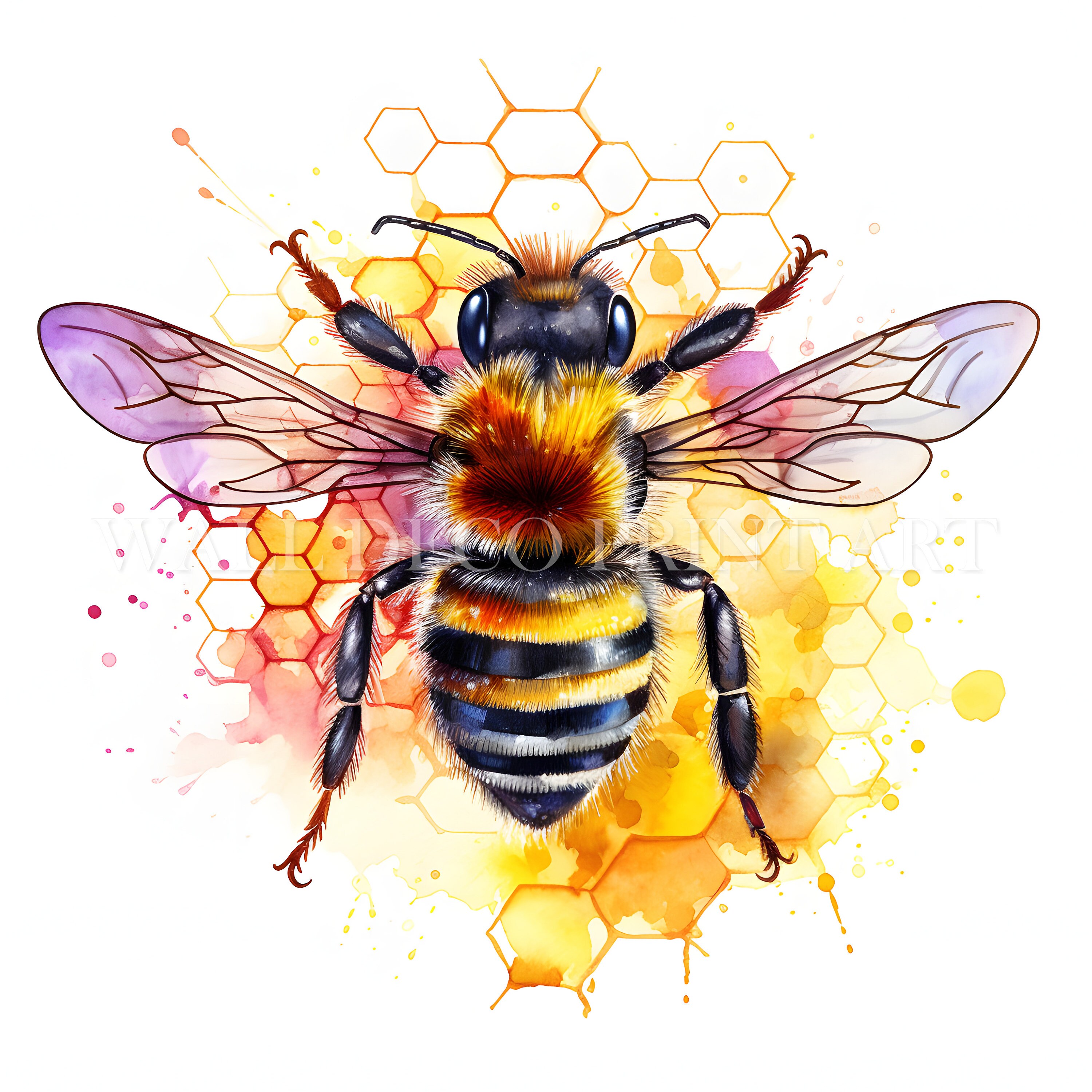 Lovely Bee With Flowers Clipart Bundle 6 High Quality Jpgs - Etsy