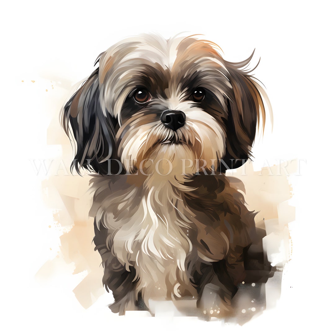 Cute Shih Tzu Puppy Clipart Bundle - 10 High Quality Jpgs - Digital ...