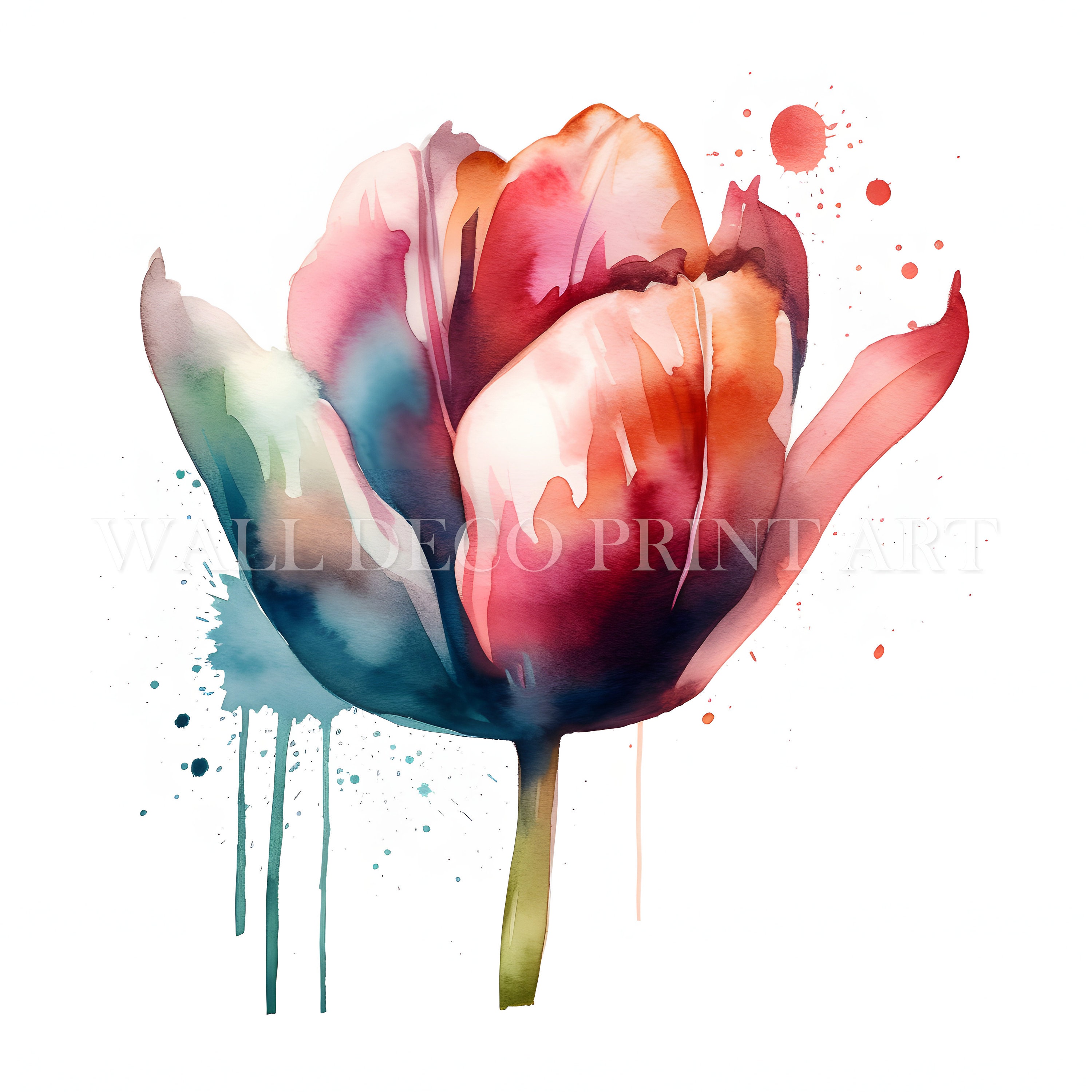 Watercolor Spring Flowers Clipart Tulip 10 High Quality - Etsy