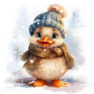 Cute Winter Duck Clipart Bundle - 10 High Quality Jpgs - Digital ...
